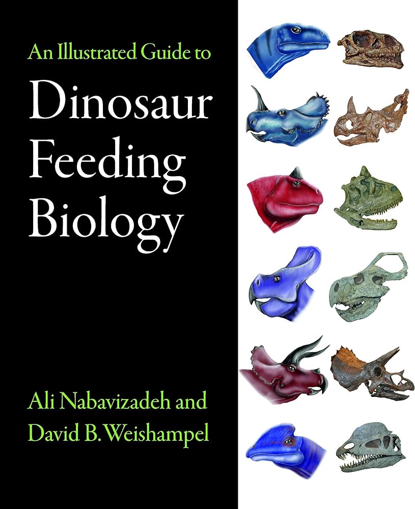 An Illustrated Guide to Dinosaur Feeding Biology - GEOSCIENTIST